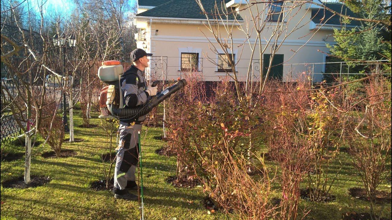 Обработка лиственных растений после листопада