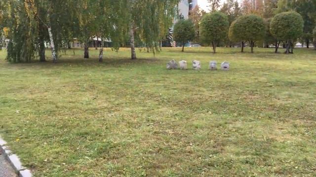 "Скверные условия" или Влияние парков, садов и скверов на социально-политическую обстановку в ЕКБ