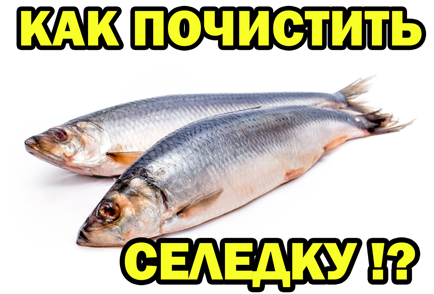 КАК ПОЧИСТИТЬ СЕЛЕДКУ - Быстро и без костей