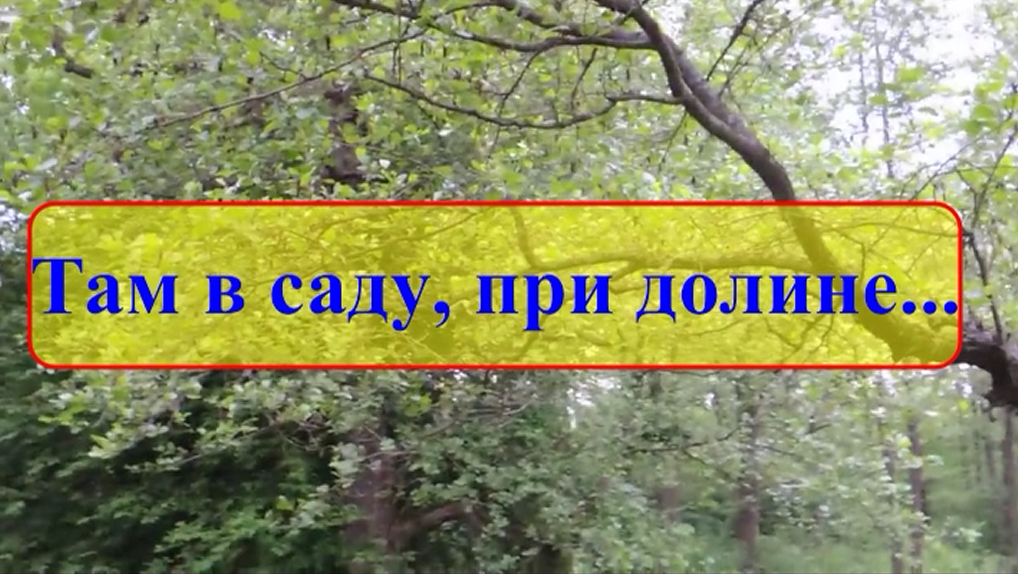 Там в саду, при долине.mov