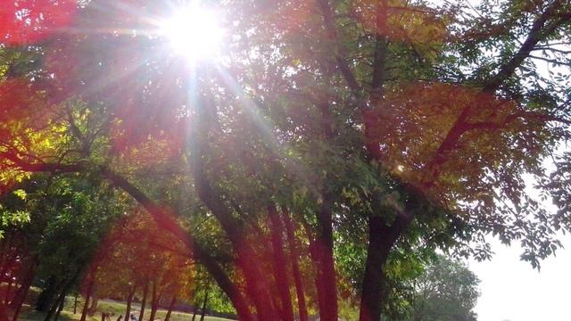 Уйти или остаться