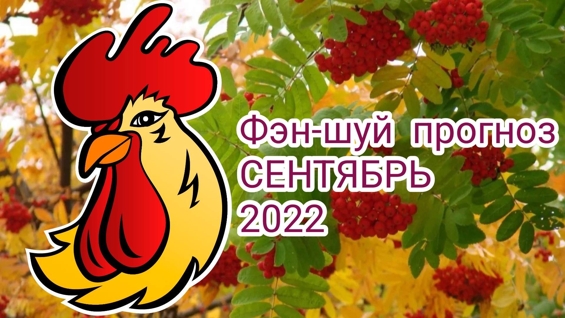 29. Фэн-шуй прогноз на сентябрь 2022 || Месяц Земляного Петуха#7
