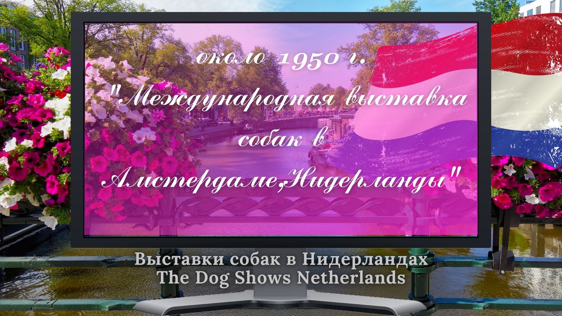Период 1950-е годы. Международная выставка собак всех пород в Амстердаме (Нидерланды)
