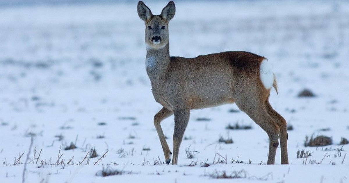 Природа Беларуси!