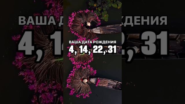 Ваша дата Рождения 4, 14, 22, 31. Читайте описание