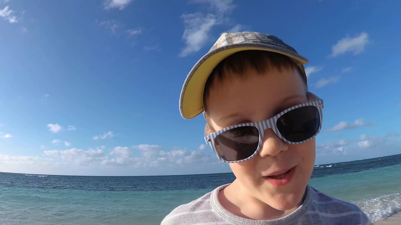 Заморский жёлудь Cuba. Overseas acorn