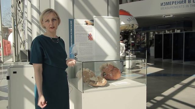 Экспозиция "Глубина". Видеоэкскурсия