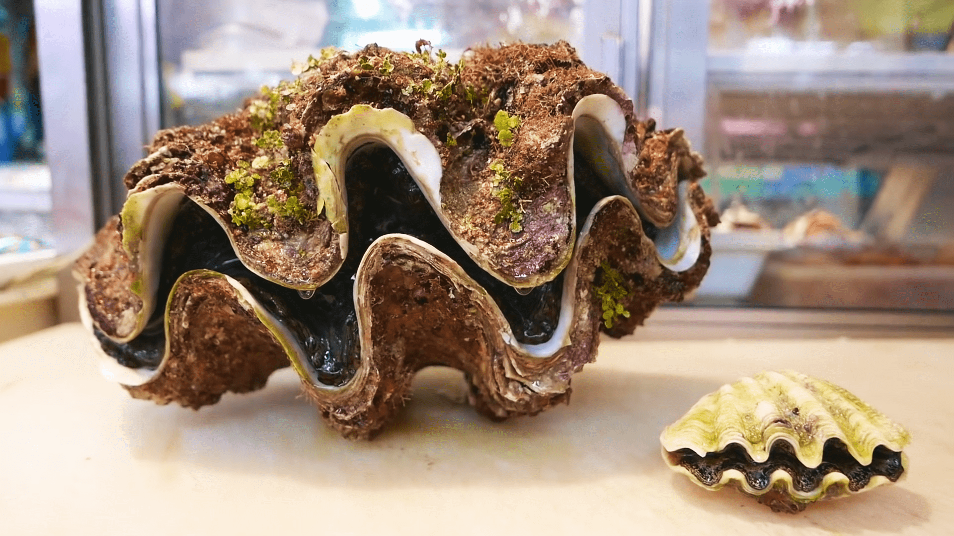 Огромный моллюск. Японская уличная еда