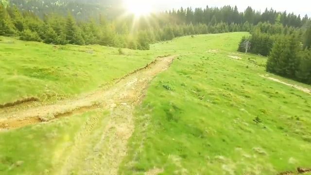 Высвобождение внутреннего конфликта и борьбы, увеличение жизненной энергии, снятие тревоги