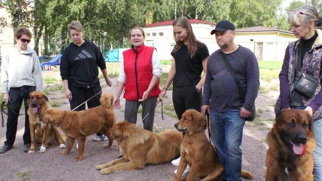 Мнение о породе, эксперт Инна Морозова