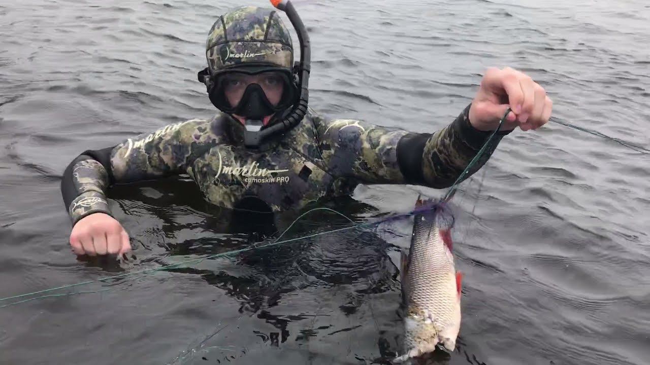 Нашли брошенные сети.  Как быть???