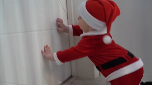 Дед Мороз и Снегурочка к вам домой