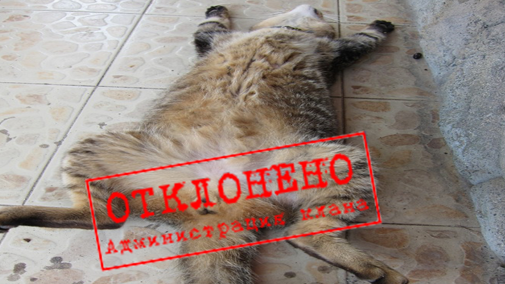 Цензуру не прошедшее и никуда не вошедшее. (типо приколы, типо фейлы).