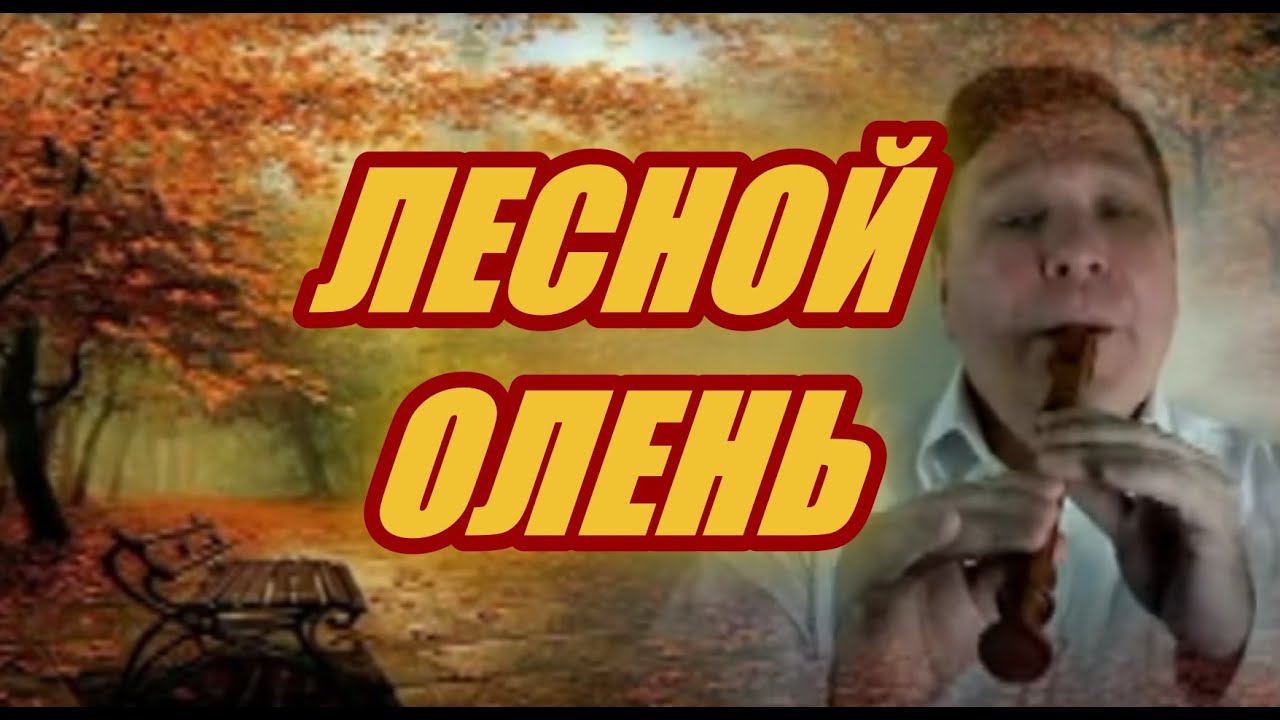 Лесной олень #блокфлейта #флейта #музыка #музыкаинструментальная #инструменты #духовые  #олень