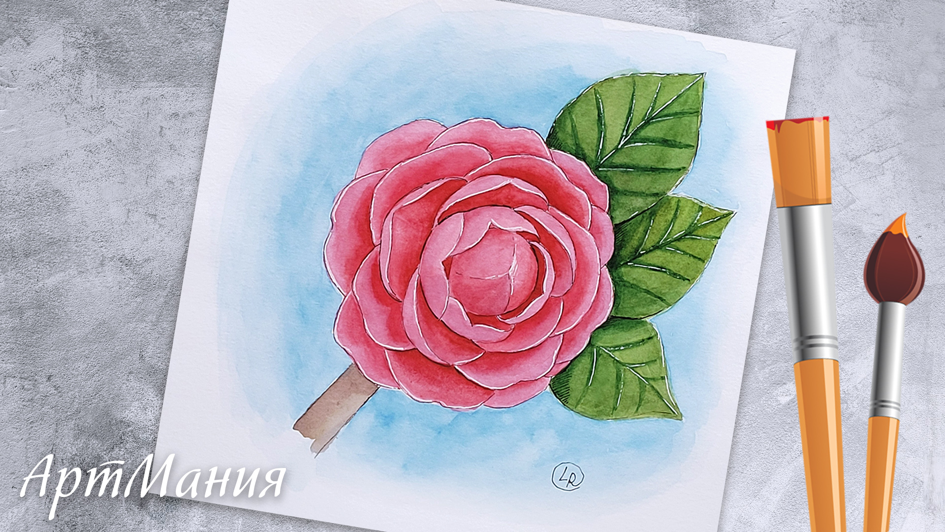 Камелия. Как нарисовать цветок камелии акварелью. Ускоренное видео.