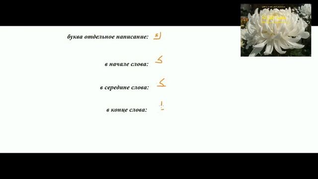 22 буква   Каф   арабского алфавита.