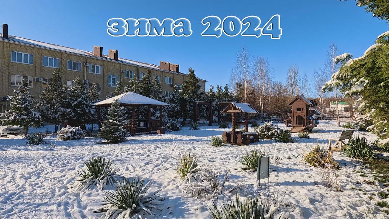 Двор зимой. 21 января 2024 год.