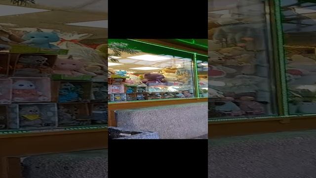 на Черной речке  Спб , Питер