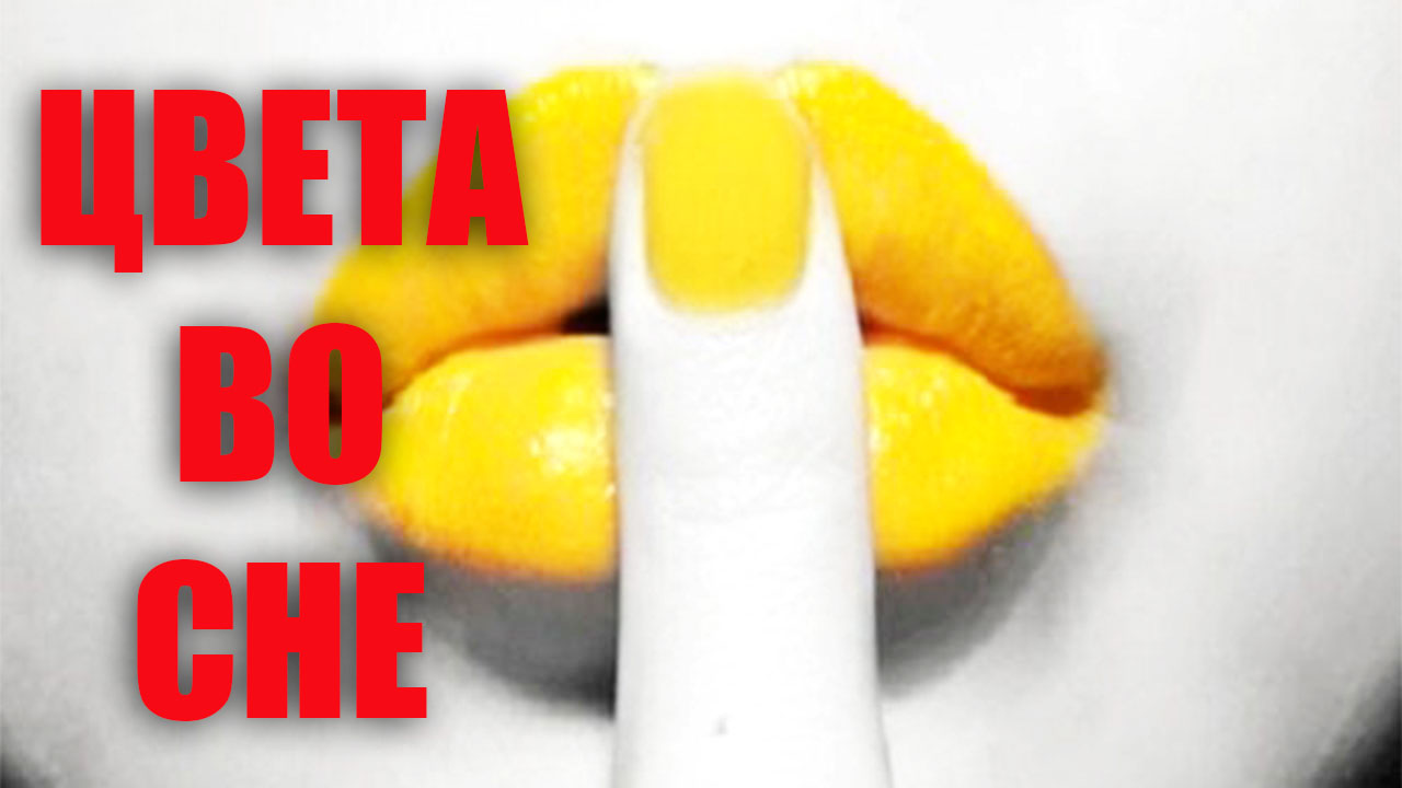 Цвета во сне. Что означают цветные сны (Сонник,Толкование снов).