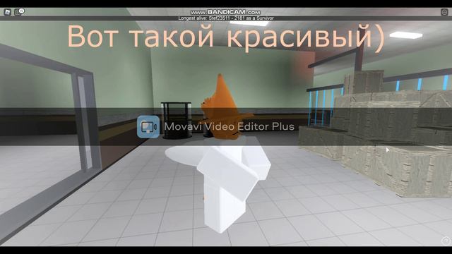 Необычные окрасы фурри