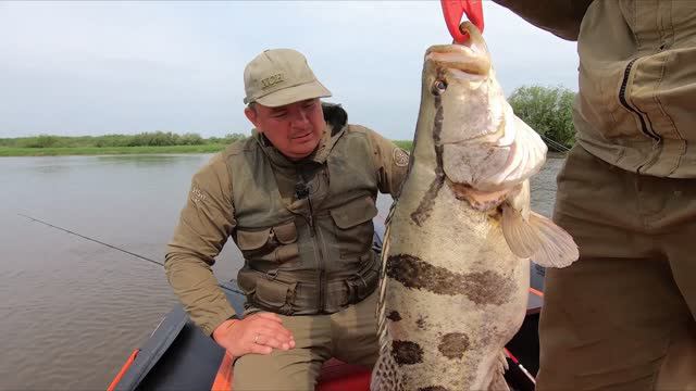 Так вот ты какая -принцесса Амура!За эту рыбу нам пришлось очень дорого заплатить!