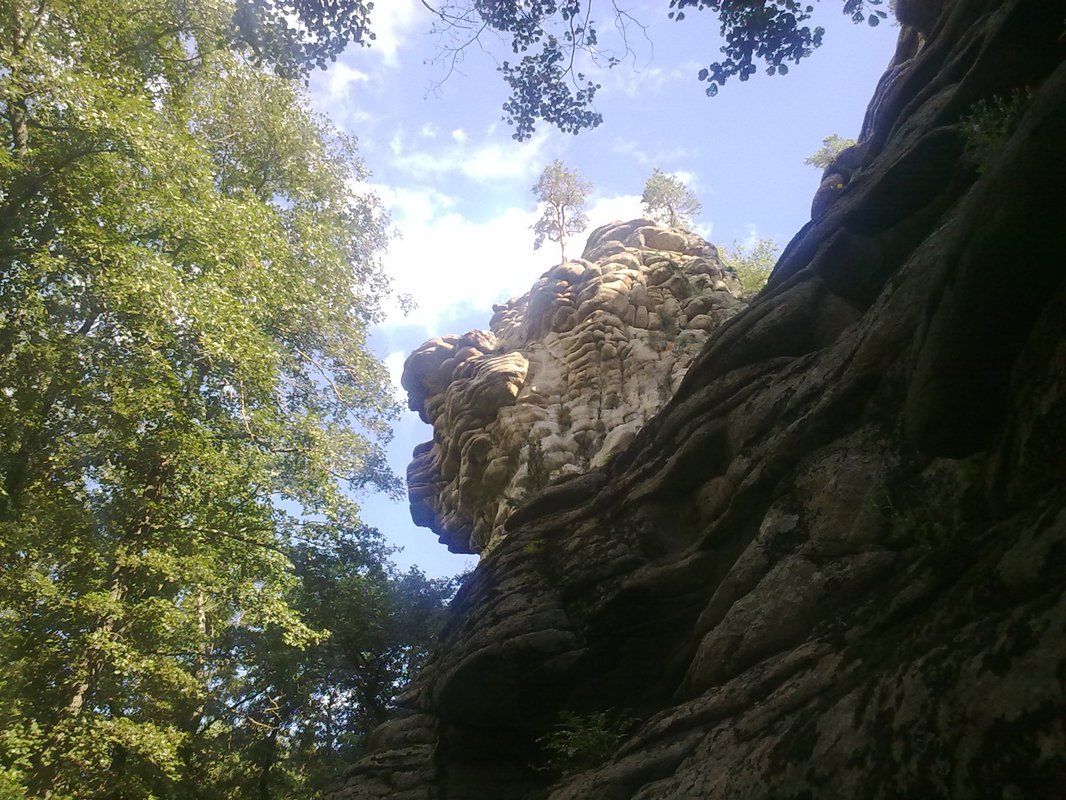 Ведьмино ущелье папоротников (Баянаул) Казахстан