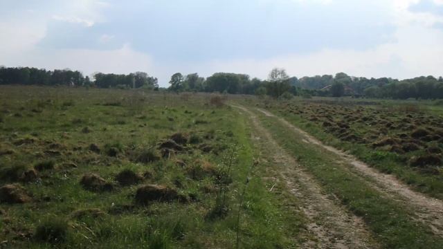 Кротовины  на поле