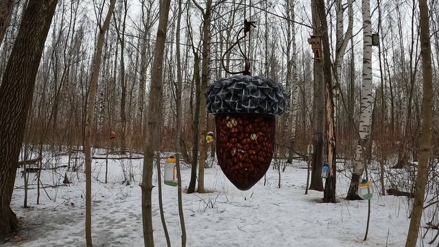 Санкт-Петербург Кормушка шишка и Синицы в Южно-Приморском парке