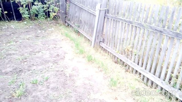 Как это было в 2018 году