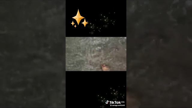 оптимистическая и мудрая песня