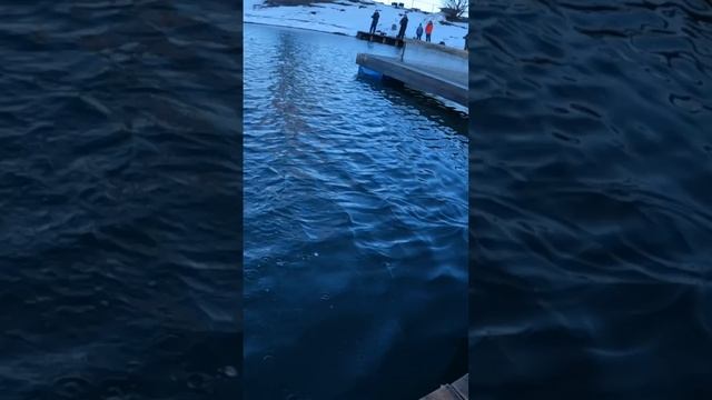 Ловля Форели Зимой. Рыбалка 2023.