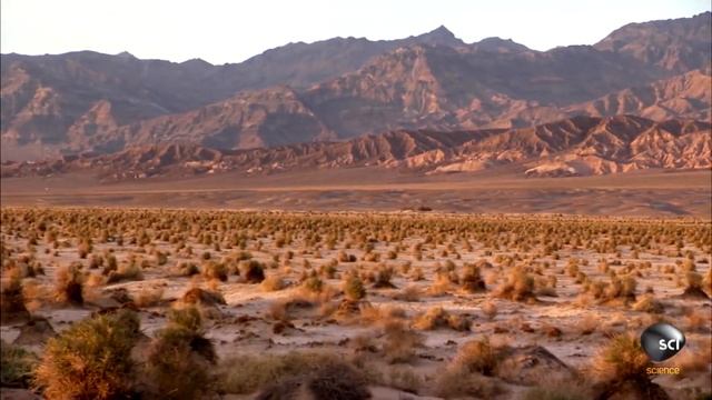 Ожившие камни Долины Смерти!  Как они движутся!