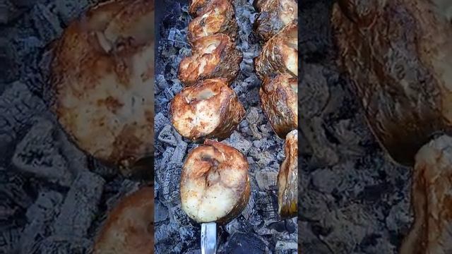 Шашлык из рыбы. Рецепт приготовления. Кефаль.