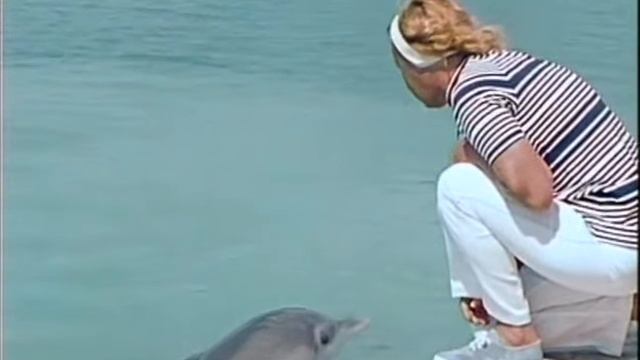 51 1981 Теплокровное море - Подводная одиссея команды Кусто