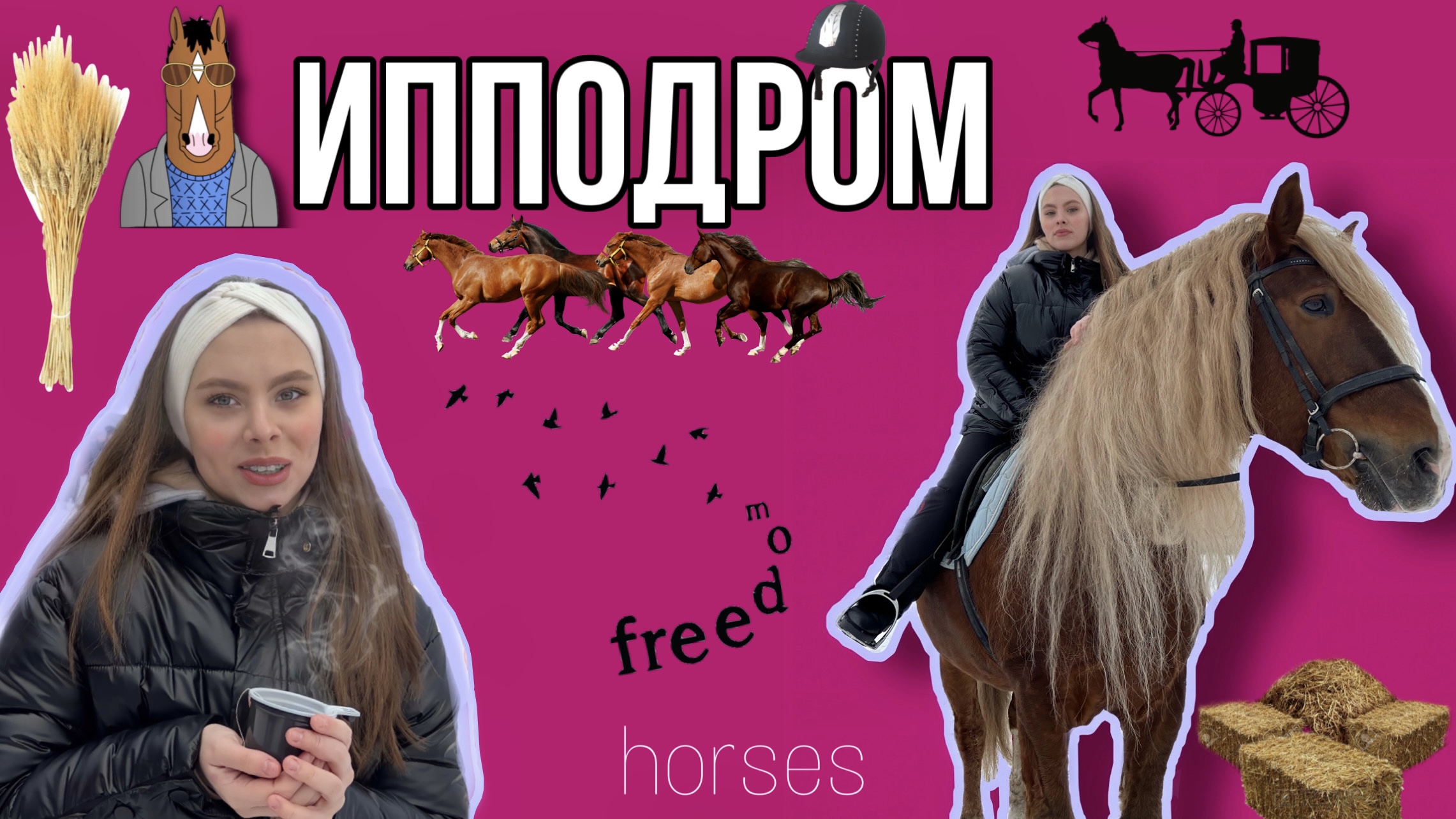 Флешмоб на ипподроме в г.Красноярск.