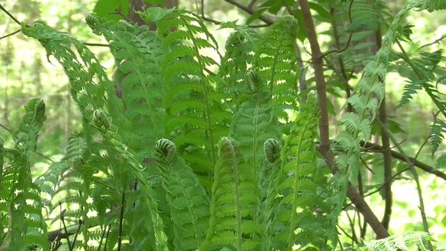 Страницы 2020 05 3. Серия 13-я.