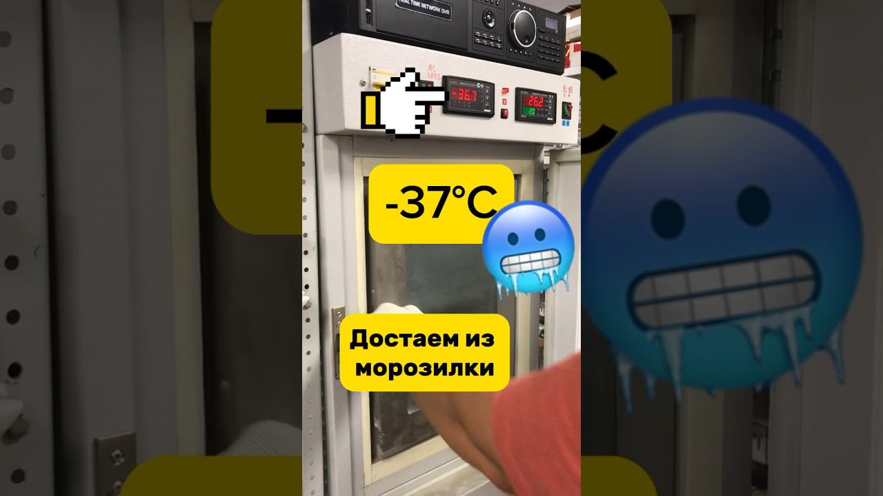 Морозим доводчики #shorts #test #freezemeup #tantos #сравнение #доводчикидверей