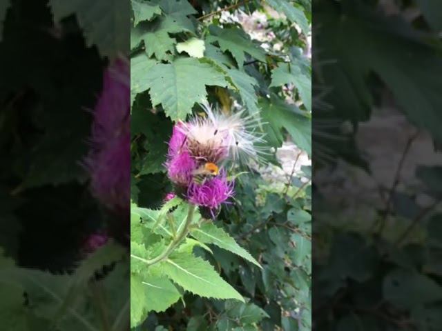 Природа России❤️