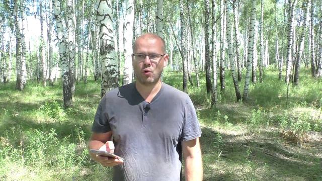 Шекспир, сонет 137