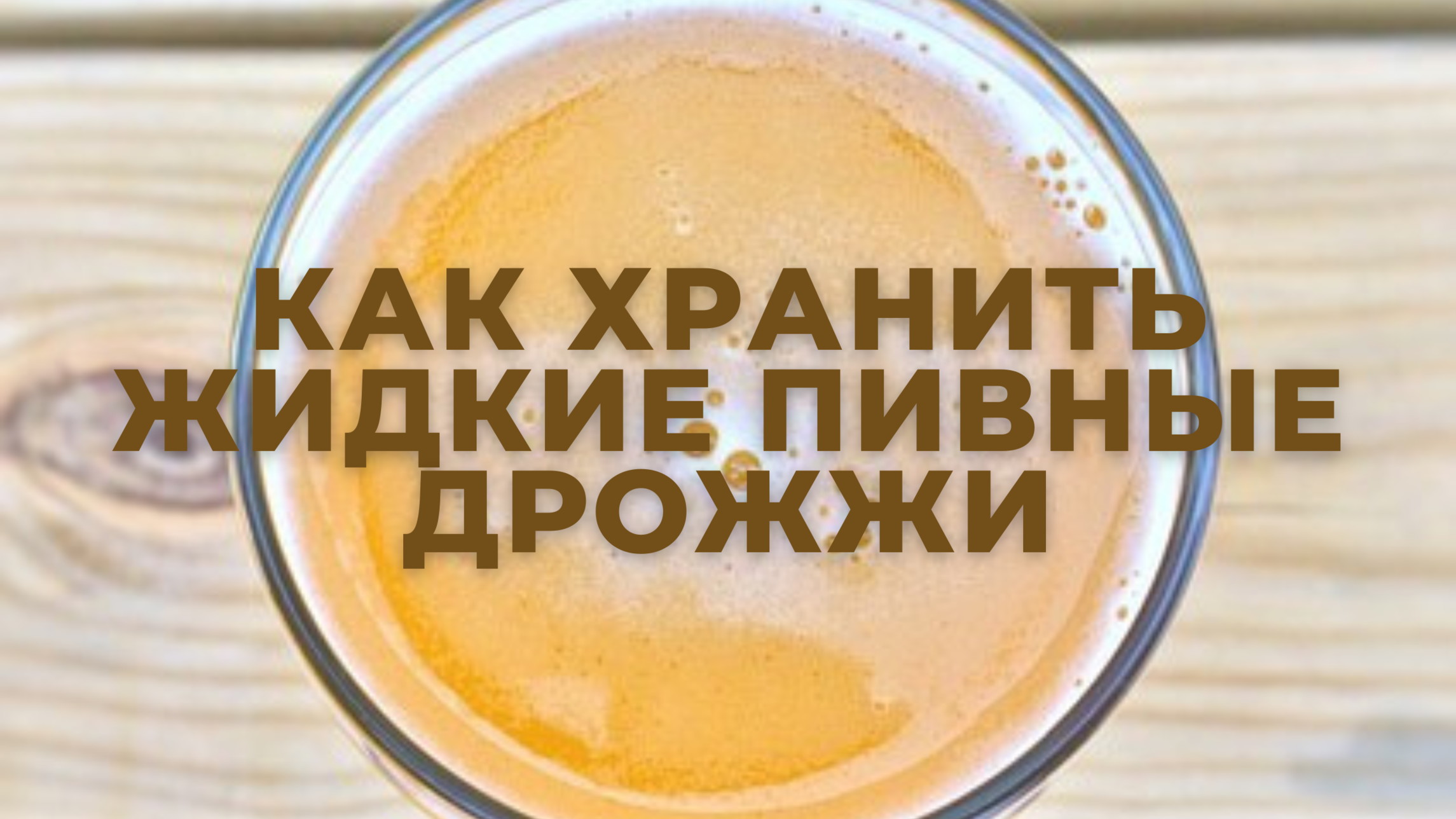 Как хранить живые жидкие пивные дрожжи