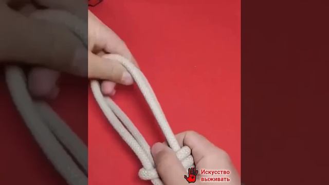 VID_20221223_184107_203.mp4