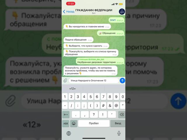 Демонстрация чат-бота Гражданин Федерации
