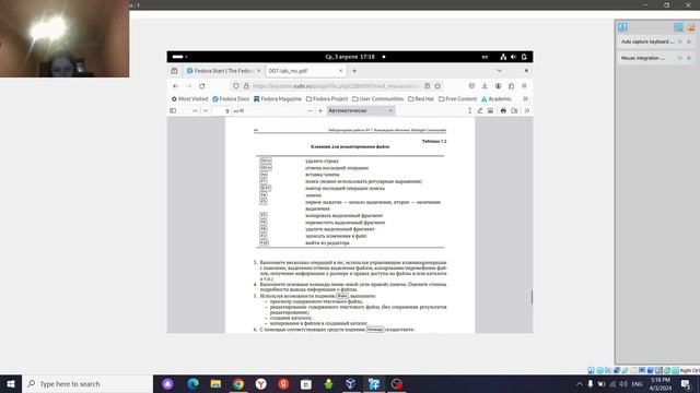 Лабораторная работа №9 отчет