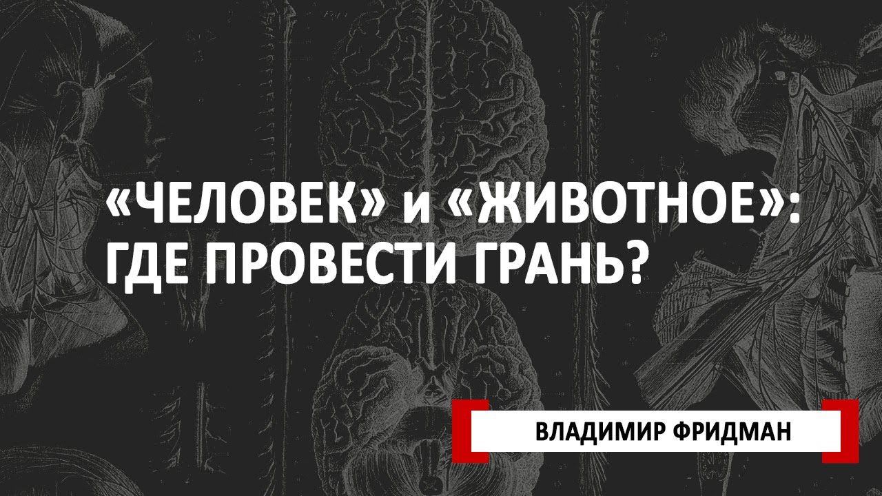 «Человек» и «животное»: где провести грань?