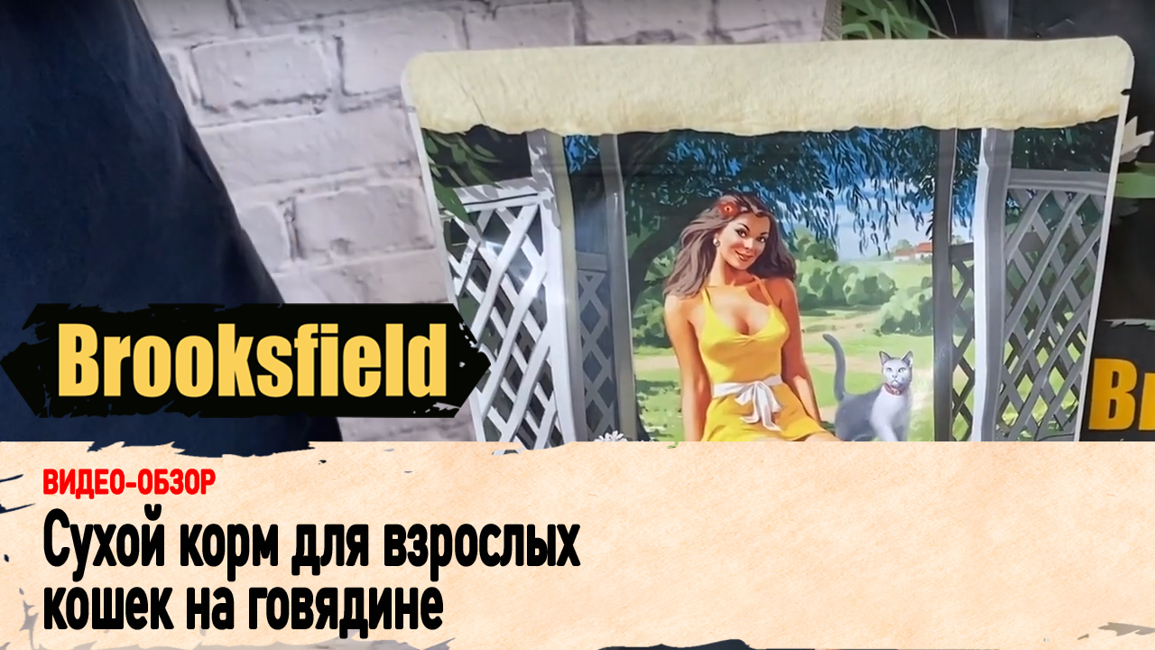 Обзор BROOKSFIELD сухой корм для взрослых кошек на говядине