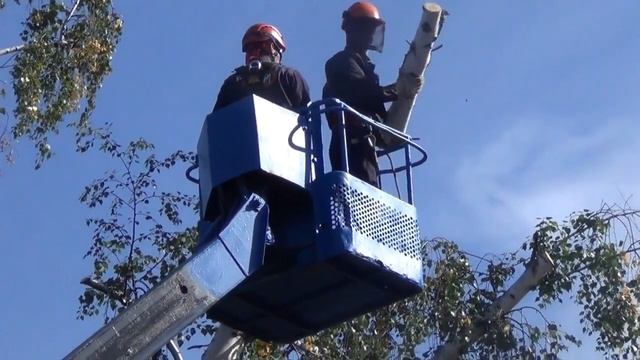 Все видео_Обычное рабочее воскресенье.mp4