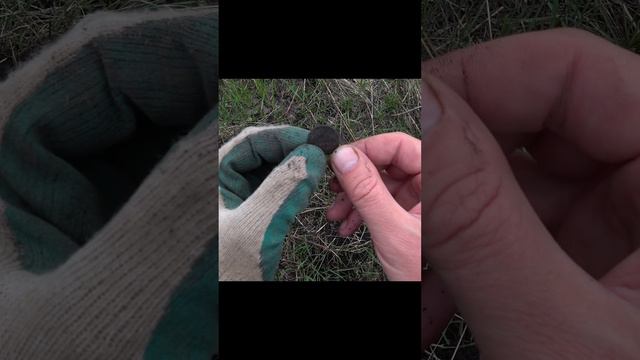 Отличная монета, времён правления Анны Иоанновны! Полушка, в отличном сохране! #поискмонет #монеты