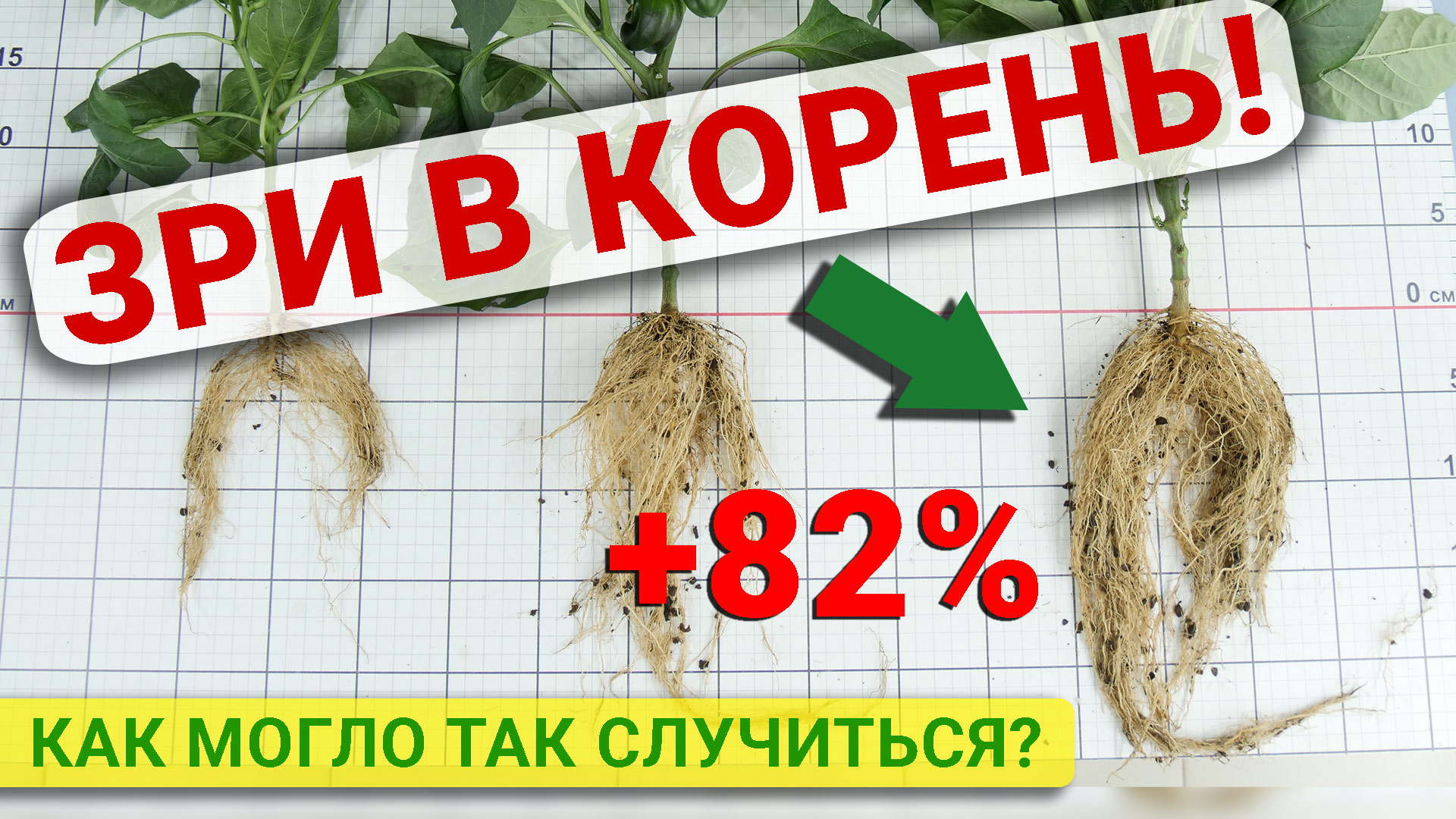 Как повысить устойчивость растений к стрессам. Смотрите вебинар