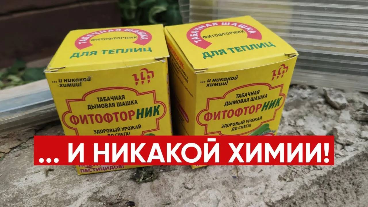 Табачная шашка для теплиц (ОТЗЫВ)
