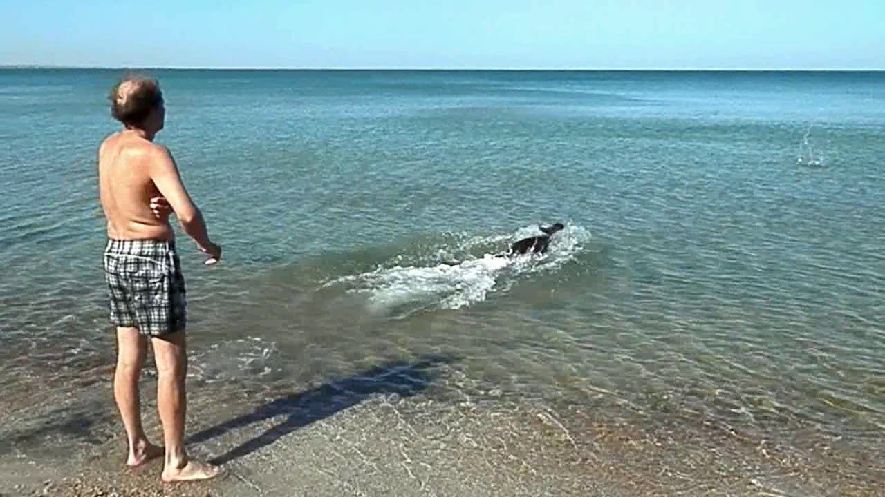 На пляже с Шеком